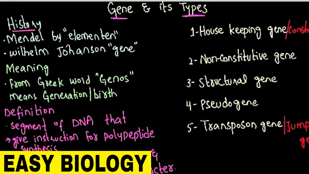 GENE & Its Types Flow Chart || Easy Way Of Learning Biology || All Test ...
