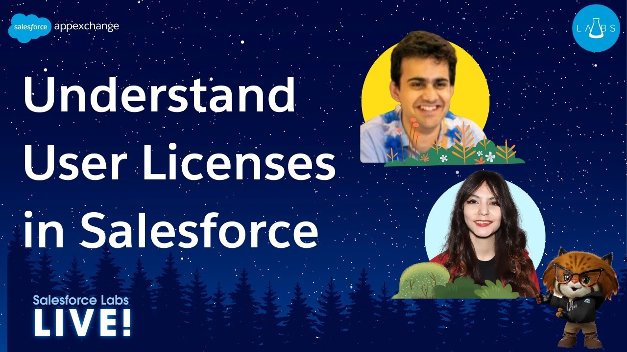 Salesforce Labs Live! Manage Your Salesforce Users and Licenses - YouTube
