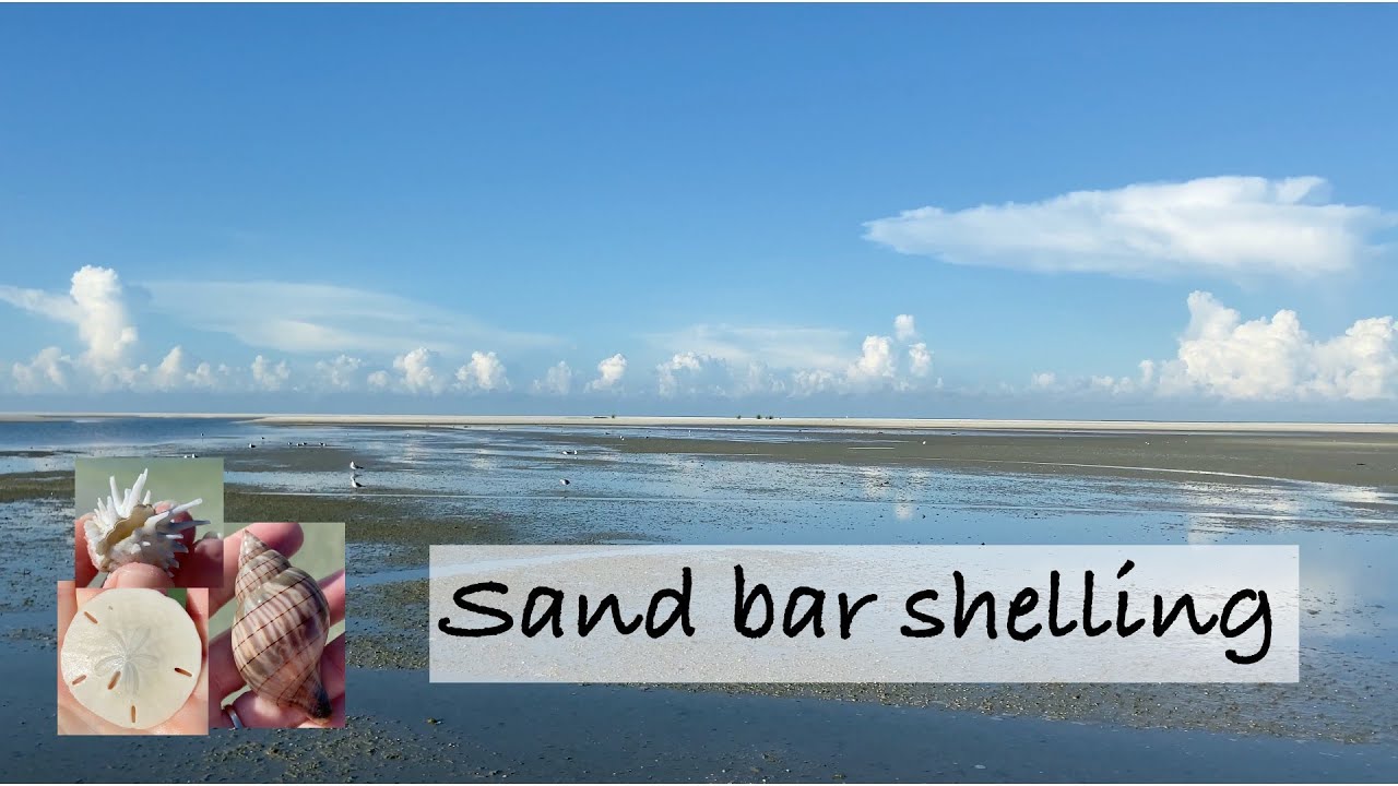 Kayak Shell Tour 10,000 Islands Florida. Exploring sand bars for shells ...