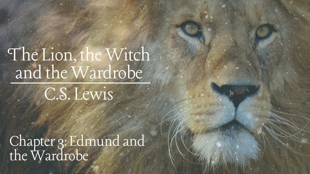 The Lion, the Witch and the Wardrobe Read Aloud: Chapter 3: Edmund and ...