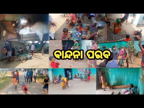 ବାନ୍ଦନା ପରବ୍||Traditional bandana parab||bandana parab|| #traditional# ...