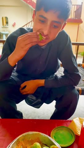 Alocha seasons - YouTube