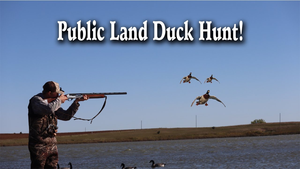 Duck Hunting in Minnesota (The challenges of hunting public land ...