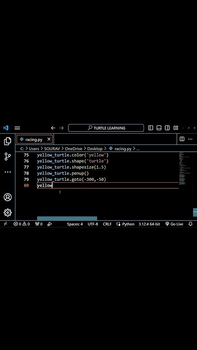 Make A Turtle Race Game Programming Shortvideo Coding Python Youtube