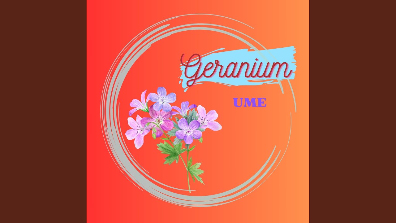 Geranium - YouTube
