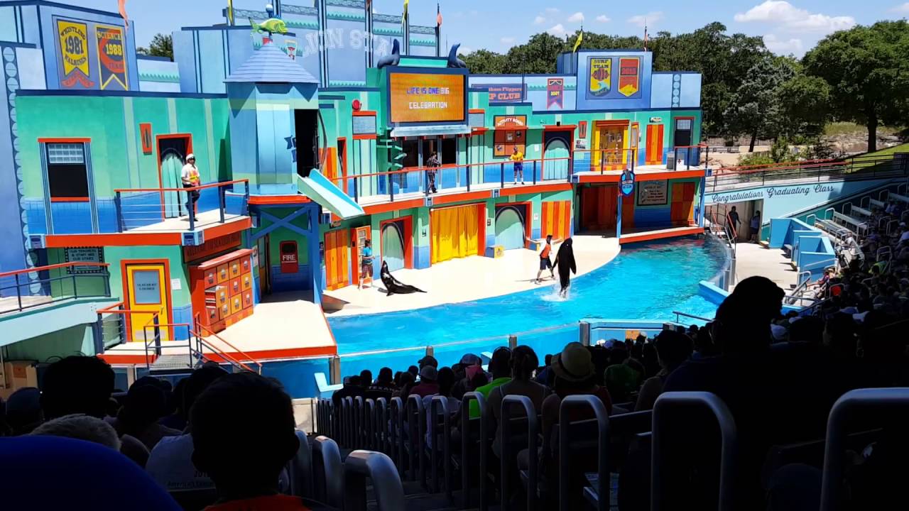 Sea Lions Show at Seaworld, San Antonio, TX - YouTube