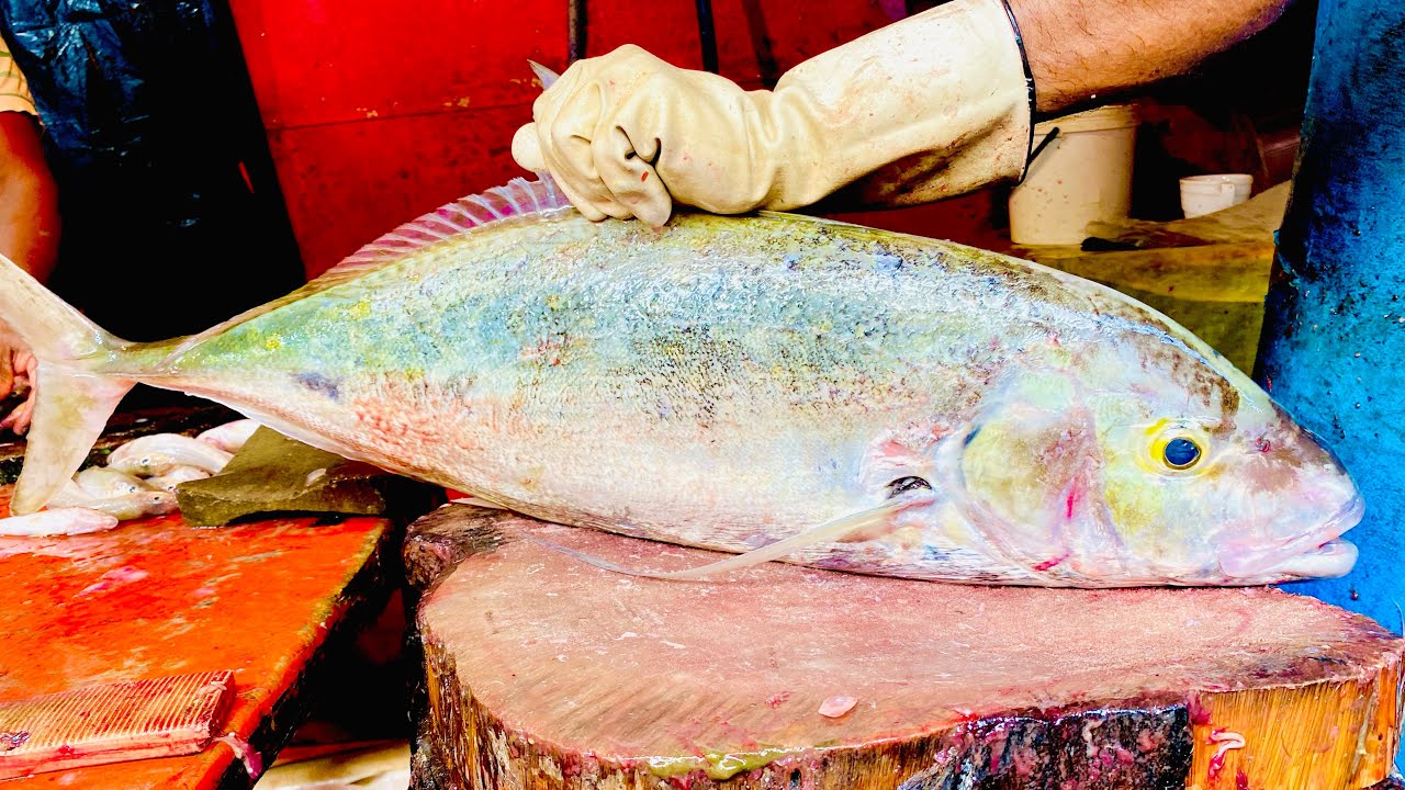 I Never Seen! Giant Para Fish Cutting,Filleting Live In Fish Market ...