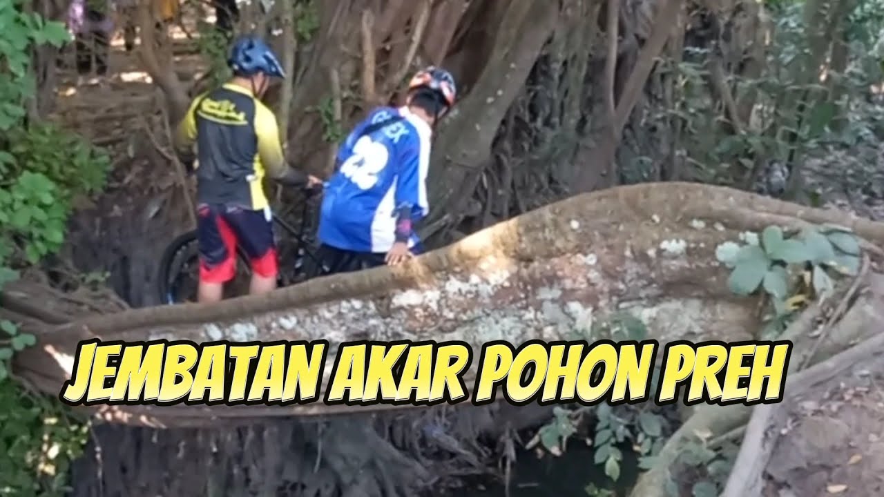 JEMBATAN AKAR POHON PREH SEYEGAN - YouTube