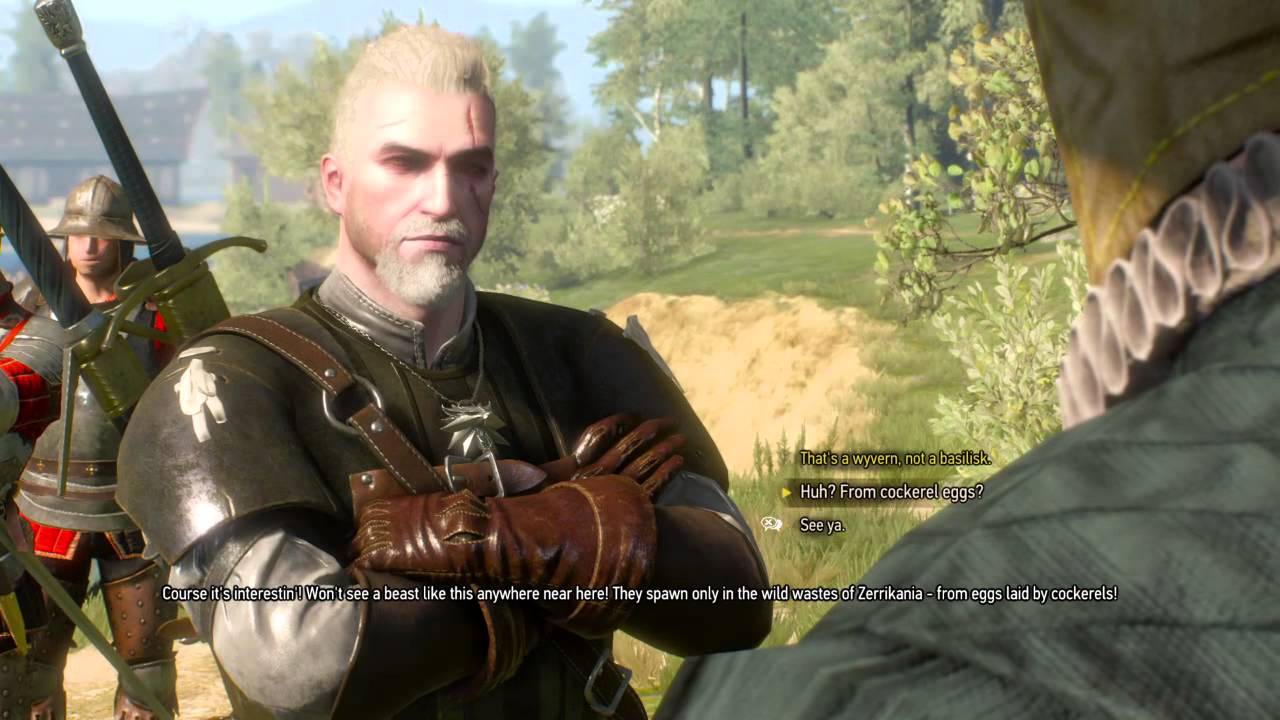 The Witcher 3 - Basilisk, Wyvern, same thiiiiiiiiing. - YouTube