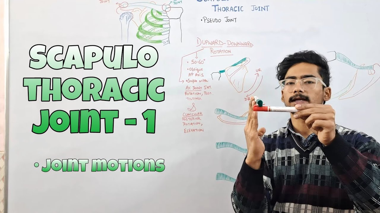 Scapulothoracic Joint | Anatomy and Biomechanics - YouTube