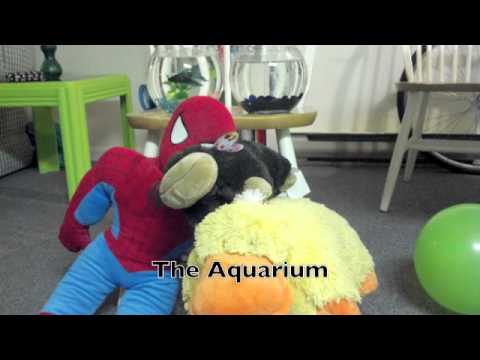 Tardy Tia - YouTube