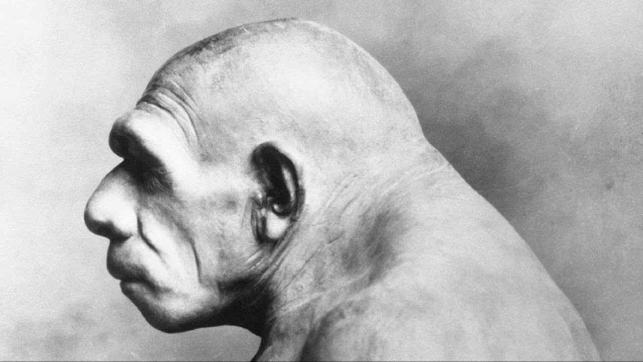 Cro magnon - YouTube