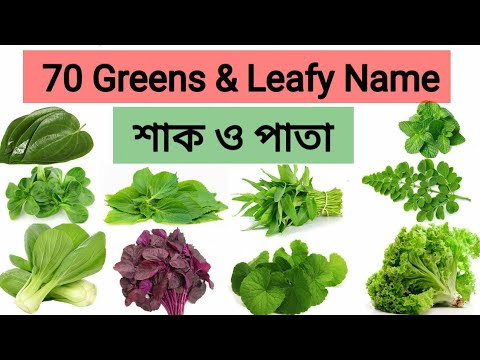 70 Green leafy & Vegetables Name English to Bengali | শাক ও পাতার নাম ...