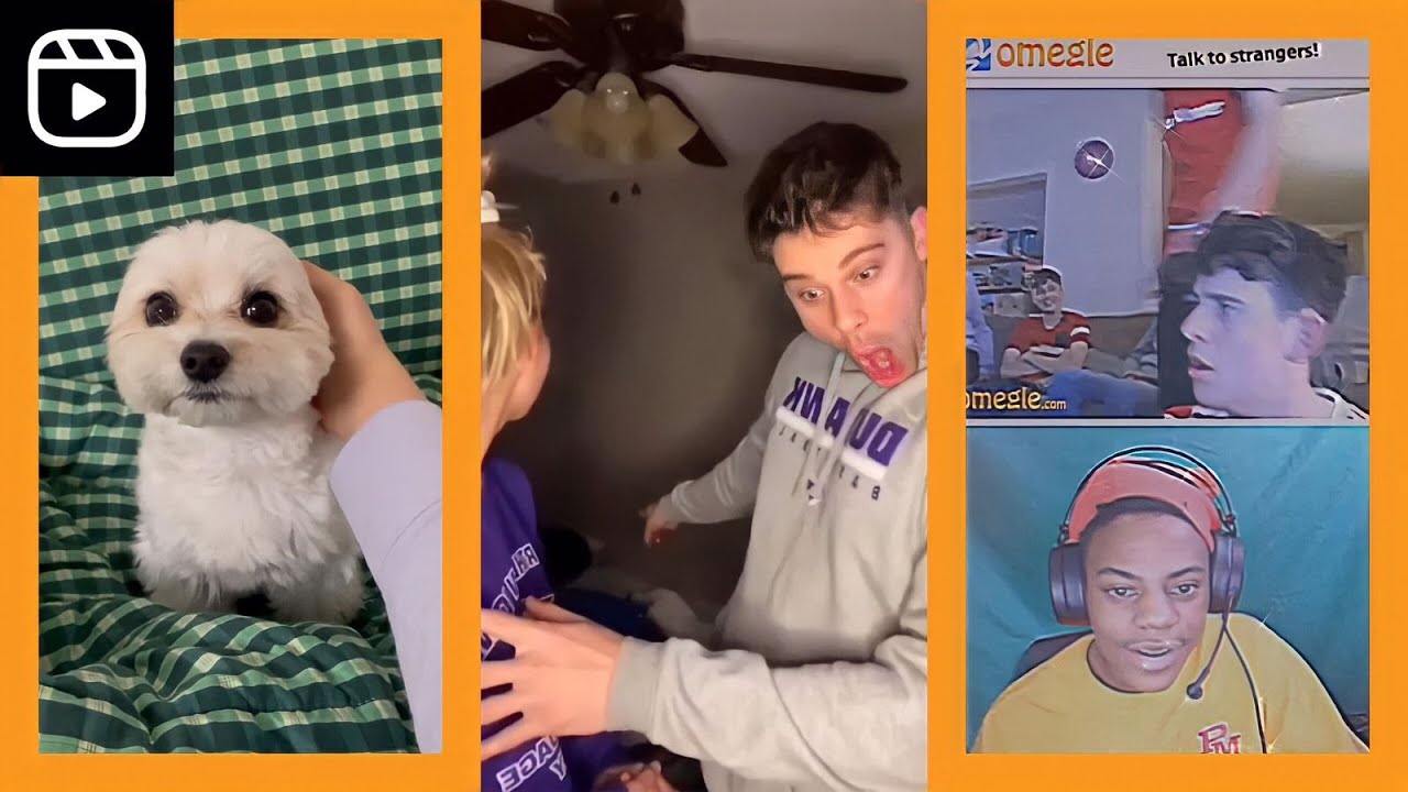 Random Reels from my Instagram feed EP-#4 - YouTube