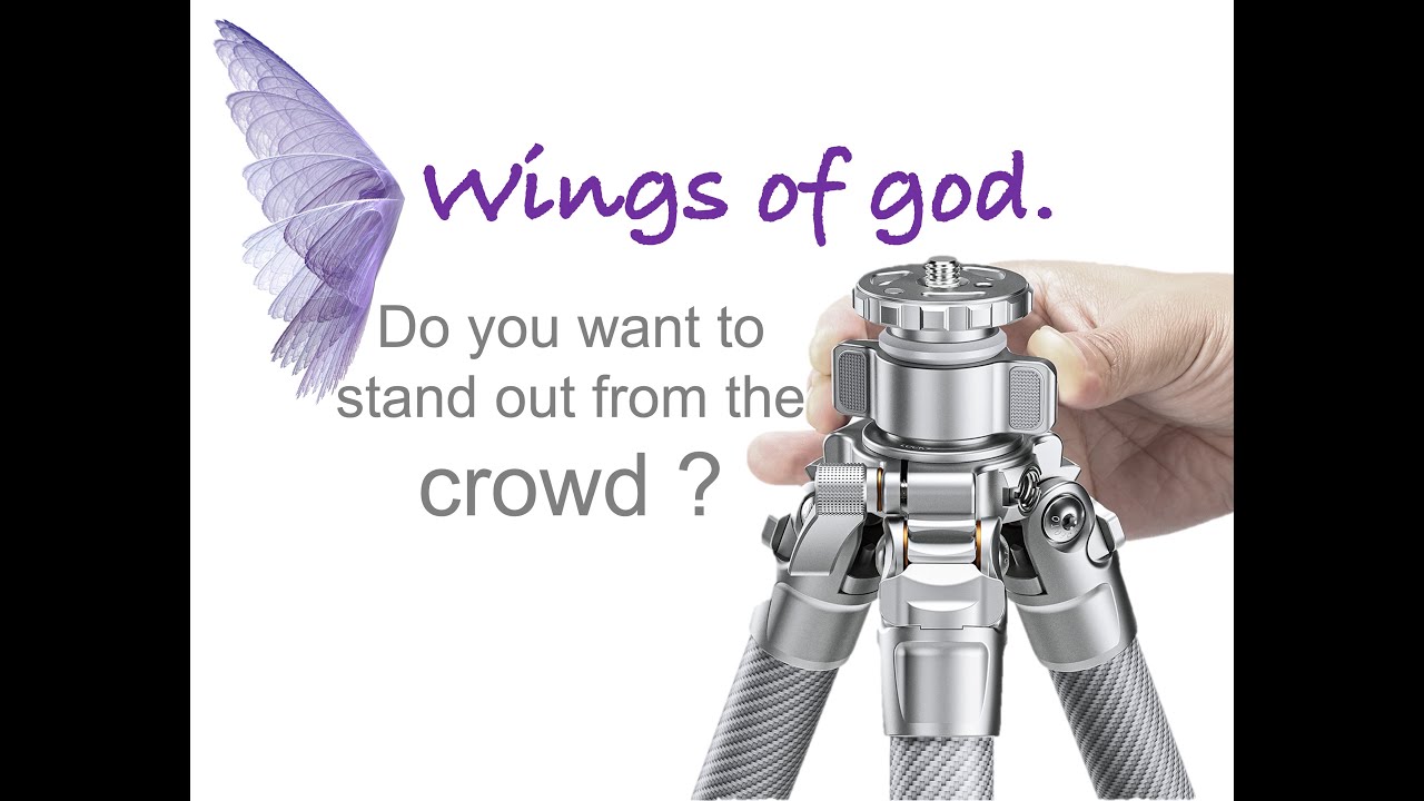 Leofoto LG 284C+LH 36R. Silver - YouTube