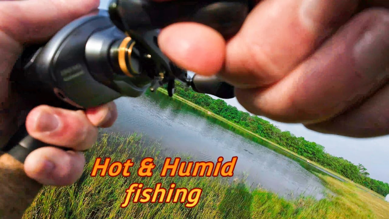 Hot and humid morning pond fishing - YouTube