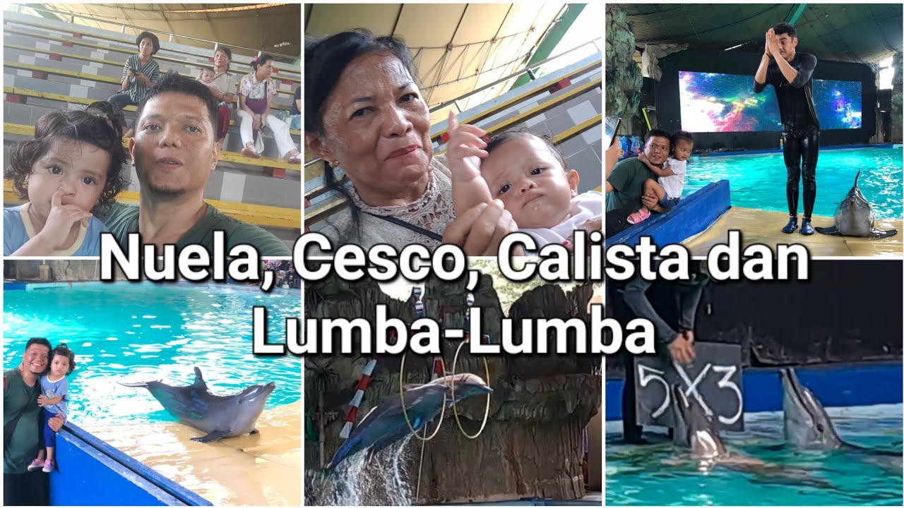 Terbukti Lumba-lumba itu Pintar Perkalian Matematika; Nuela Calista Sangat Senang; Dolphin Show ...