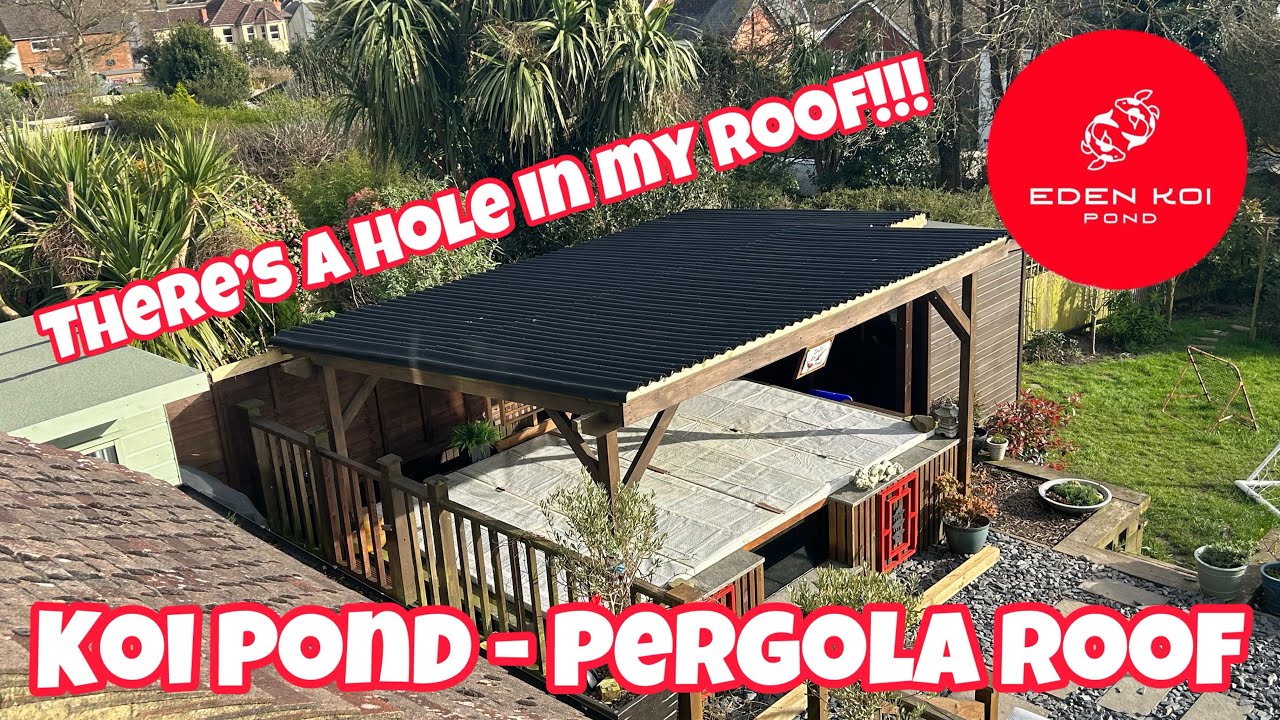 Building a Budget Pond Pergola Roof Upgrade and extension. Out with the ...