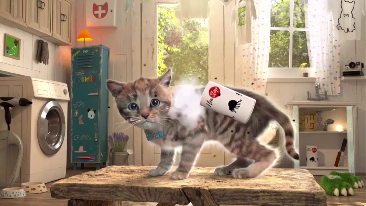 EL GATITO TIENE PULGAS | LAS AVENTURAS DEL GATITO - YouTube