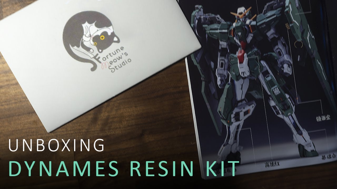Unboxing - Fortune Meow's 1/100 MG Dynames resin kit - YouTube