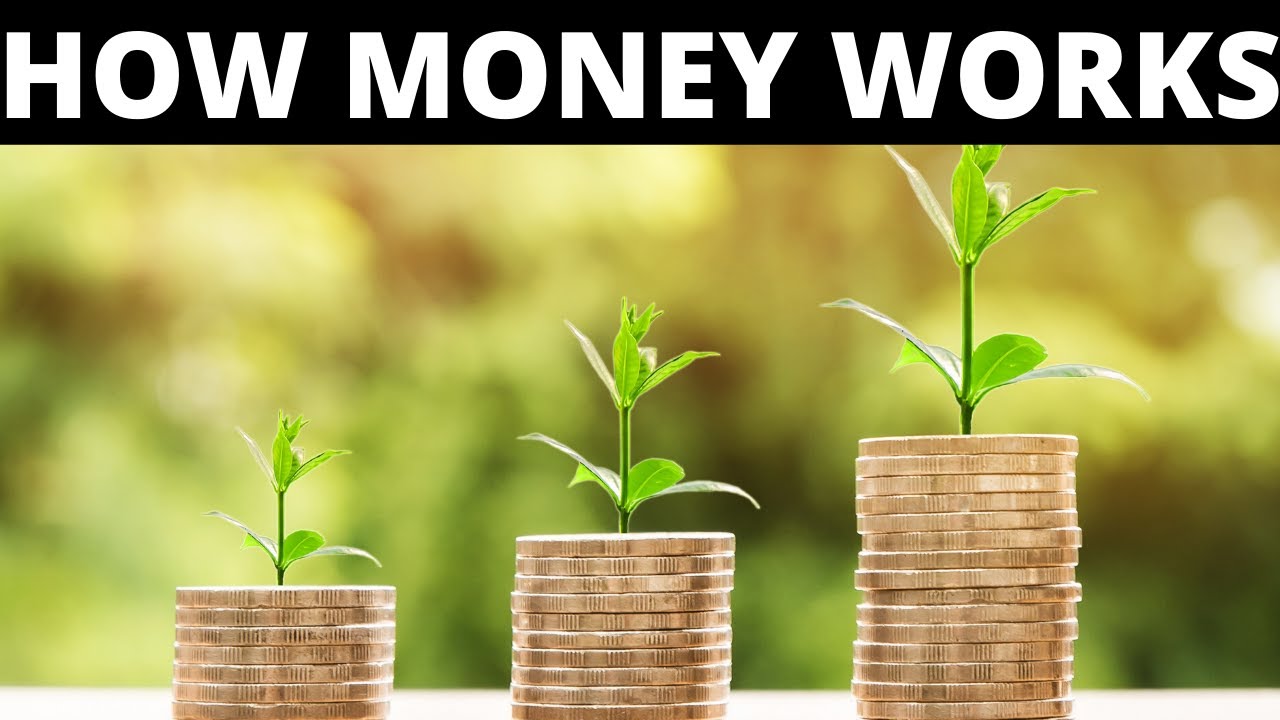The Evolution of Money: How Money Works? - YouTube