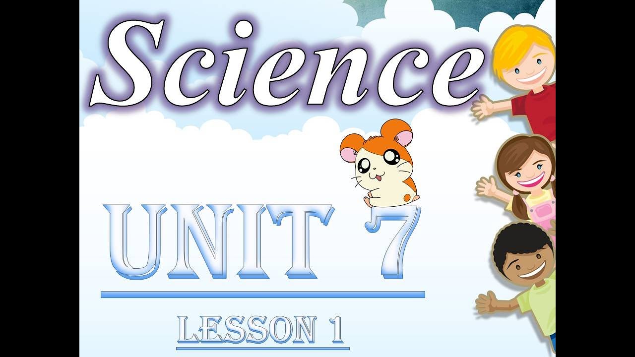 Shake Up Science Unit 7 lesson 1 page 78 1st grade - YouTube