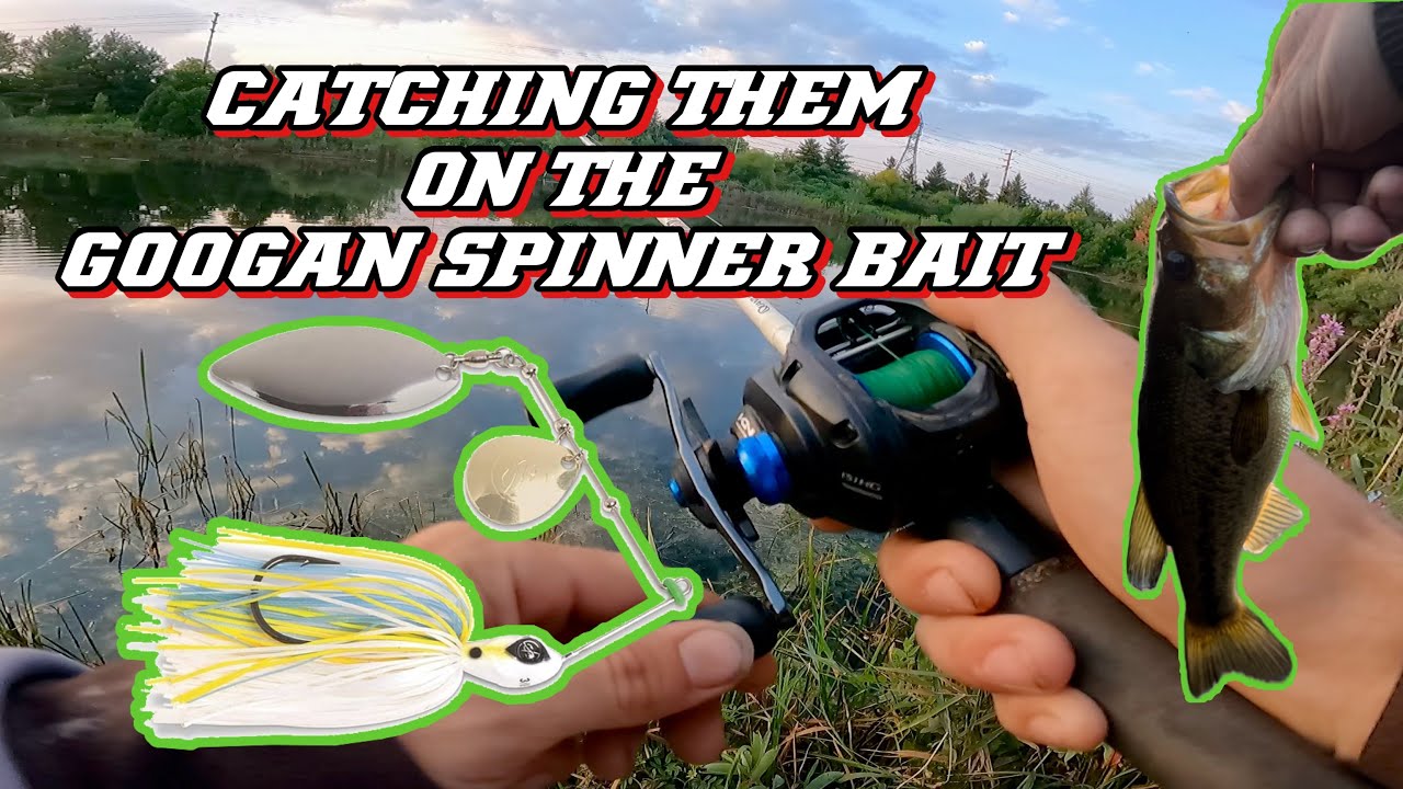 CATCHING THEM ON THE GOOGAN SPINNER BAIT (Short Clip) # ...