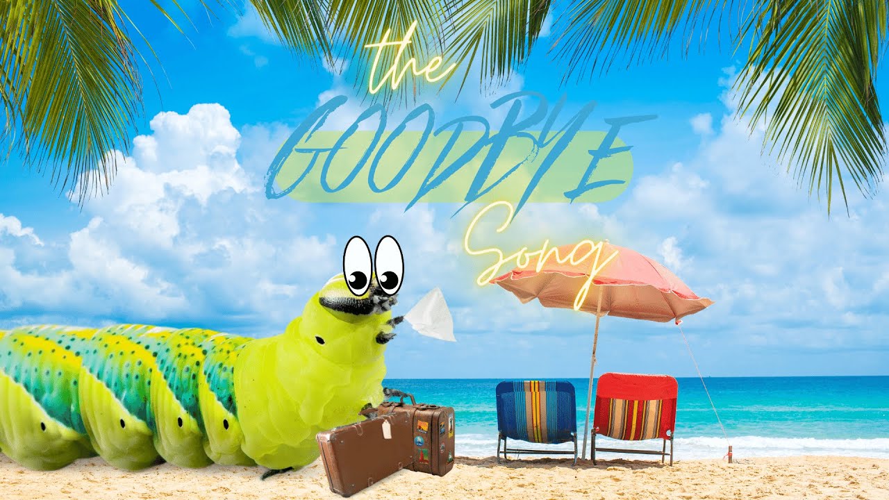 Bugs Team 1 The Goodbye song 🐛🐞🐜🐝 - YouTube