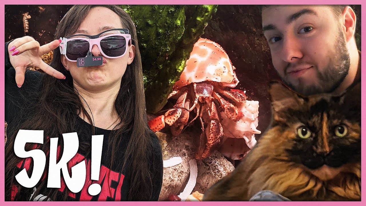 Cooking with Brandon V2 + Crabitat UPDATE! - YouTube