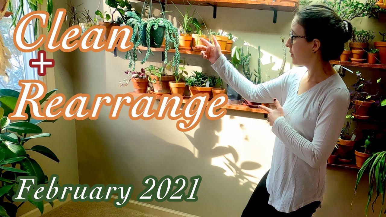 Plant Room Organize | Arranging Indoor Plants | Small Space - YouTube