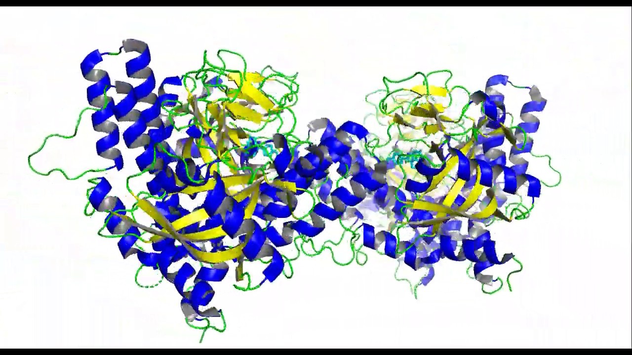 Aurora Kinase - pymol movie - YouTube