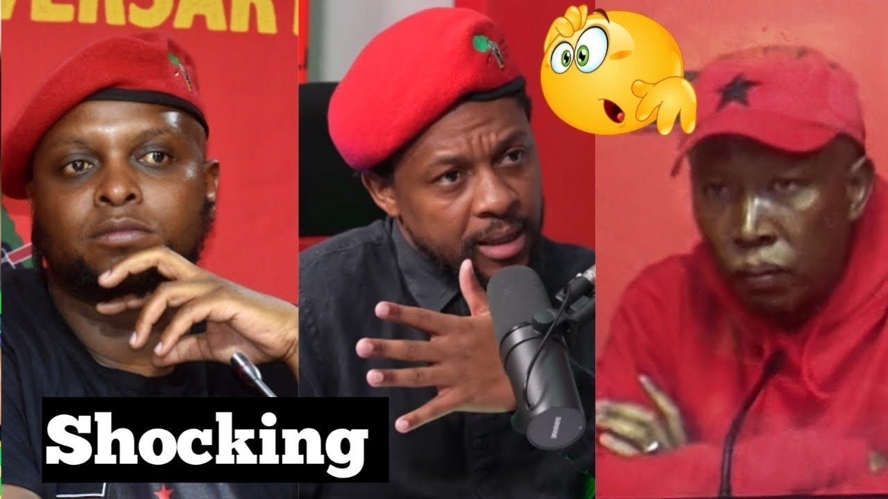 Allegedly, Ndlozi is next to leave | EFF SG breaks silence | Is the EFF ...