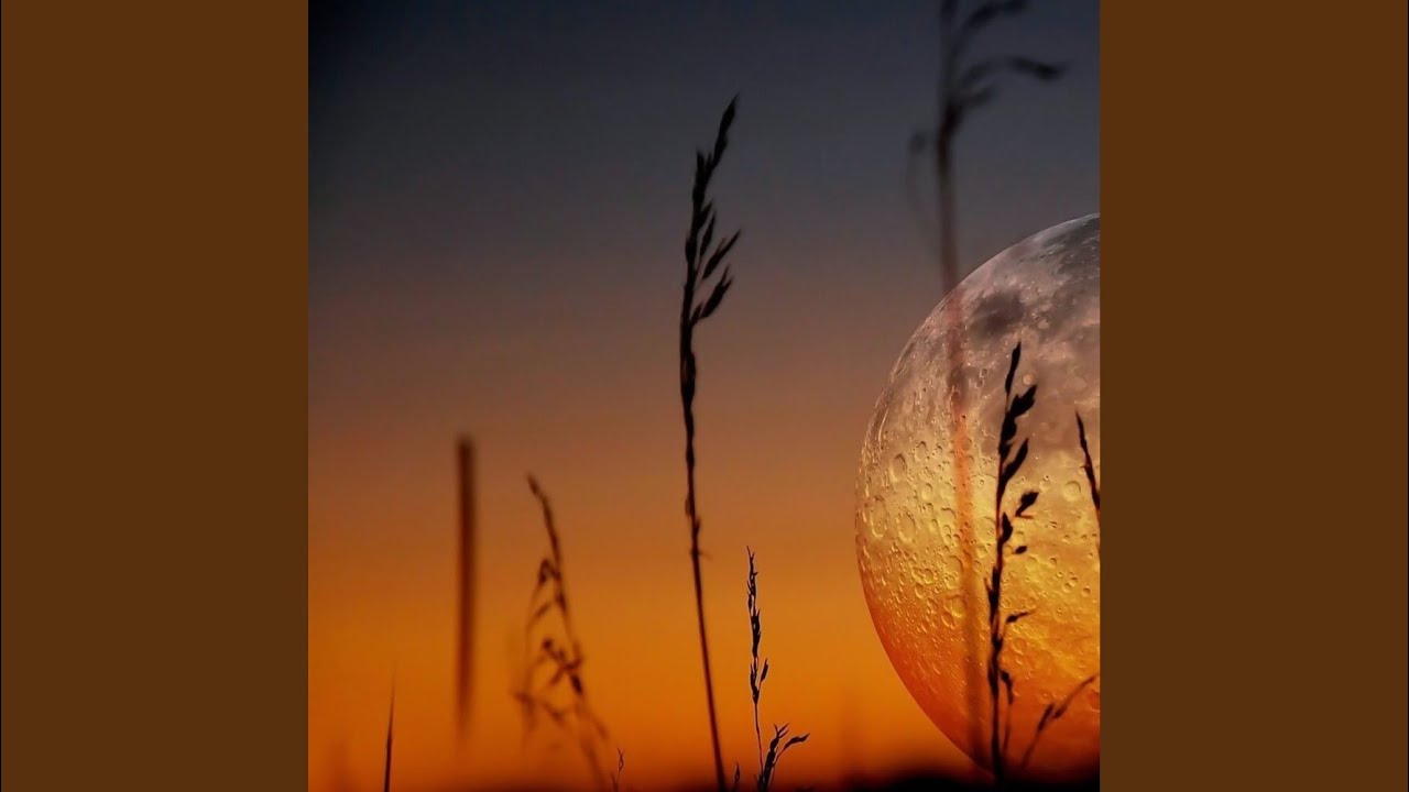 Timothy Morgan Seymour Rushing Adrien Schroeder Timothy Morgan - YouTube