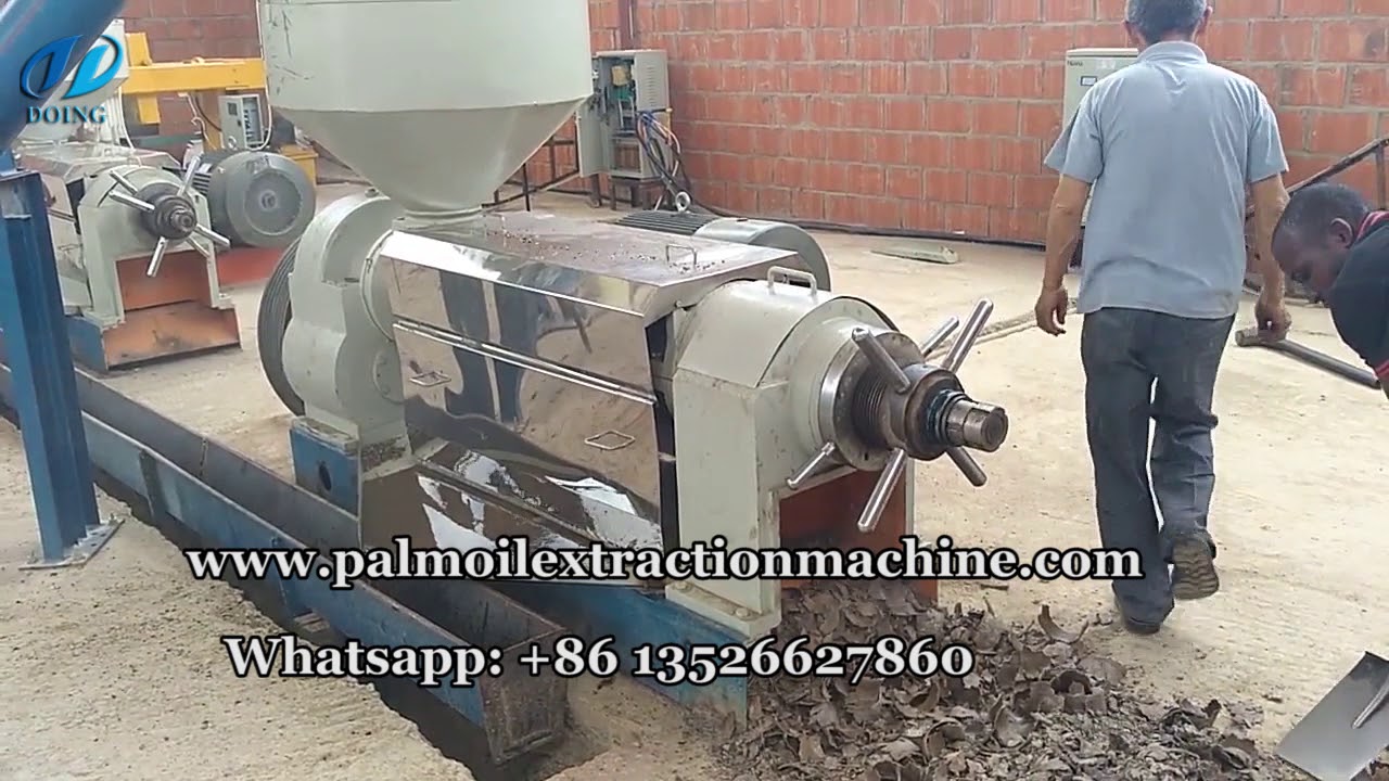 Palm kernel oil expeller machine, palm kernel oil press machine - YouTube