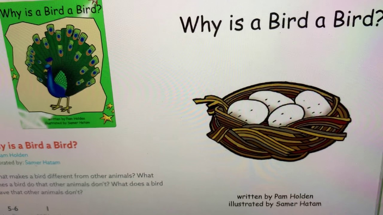 Kids Read Aloud:Why Is A Bird A Bird? - YouTube