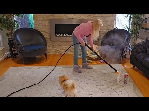 Gurbetçi anne günlüğünde temizlik vlog! Beyaz halı temizliği