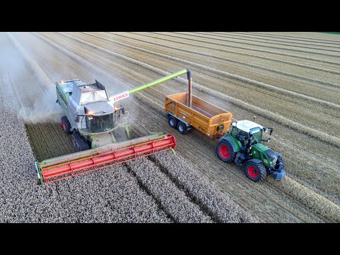 HSAG BIG CLAAS 750 COMBINE!