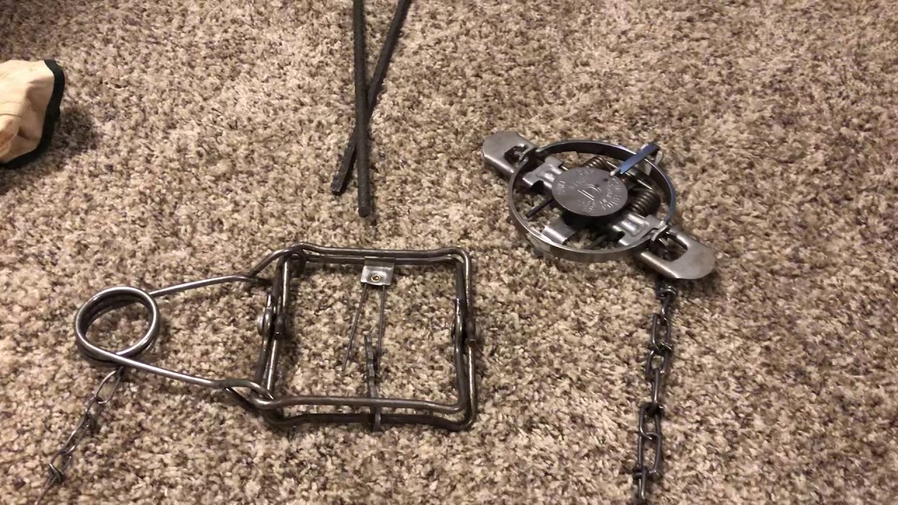 Animal Traps for SHTF - YouTube