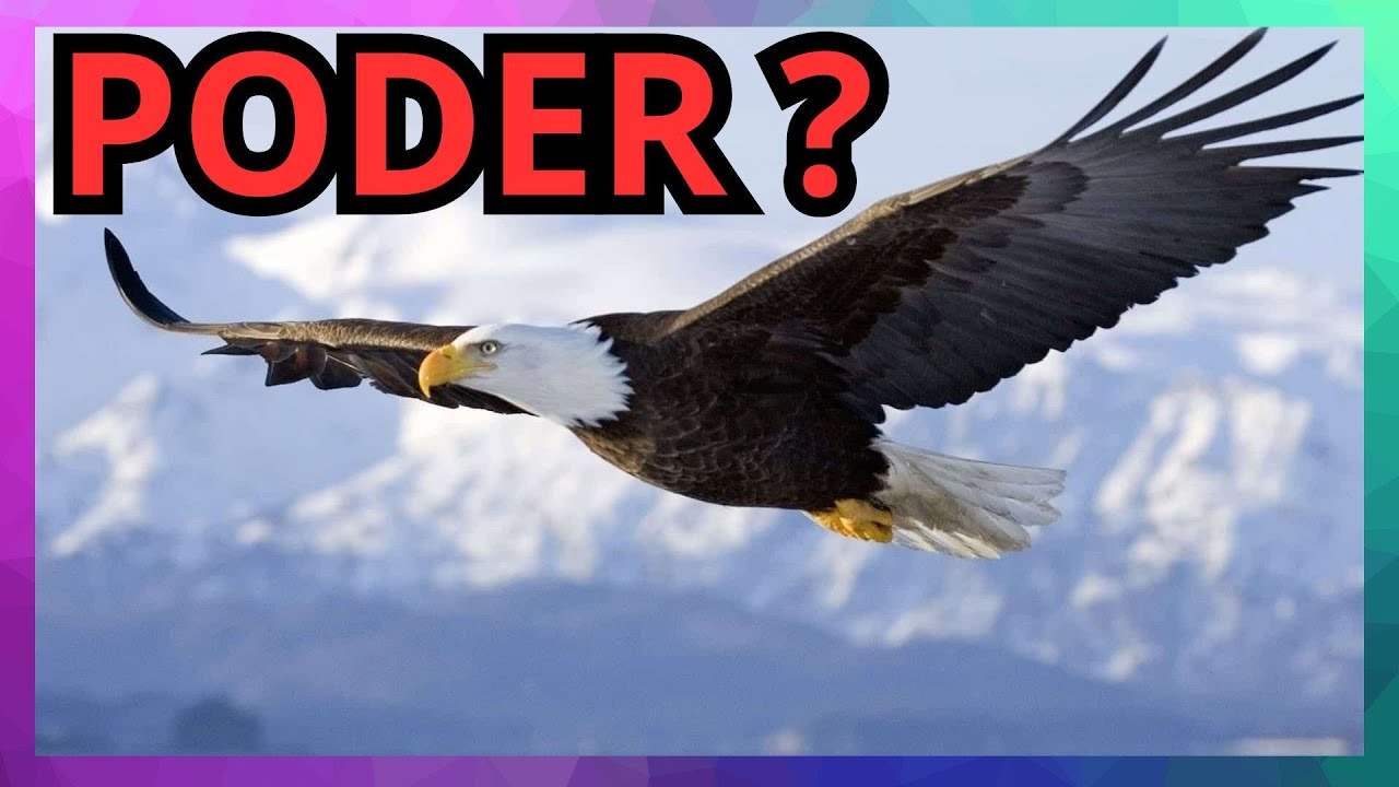 Poder, ação e contexto: o fenômeno do poder na sociedade moderna. - YouTube