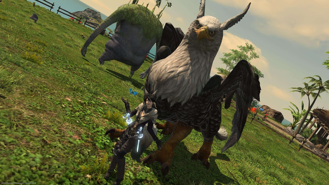 FFXIV Griffin location in iseland sanctuary - YouTube