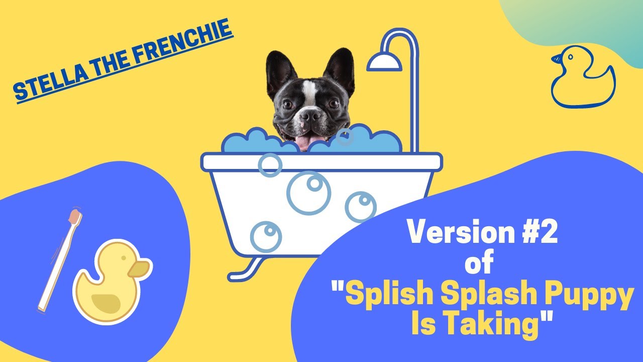 Splish Splash Puppy Is Taking a Bath Version 2 - YouTube
