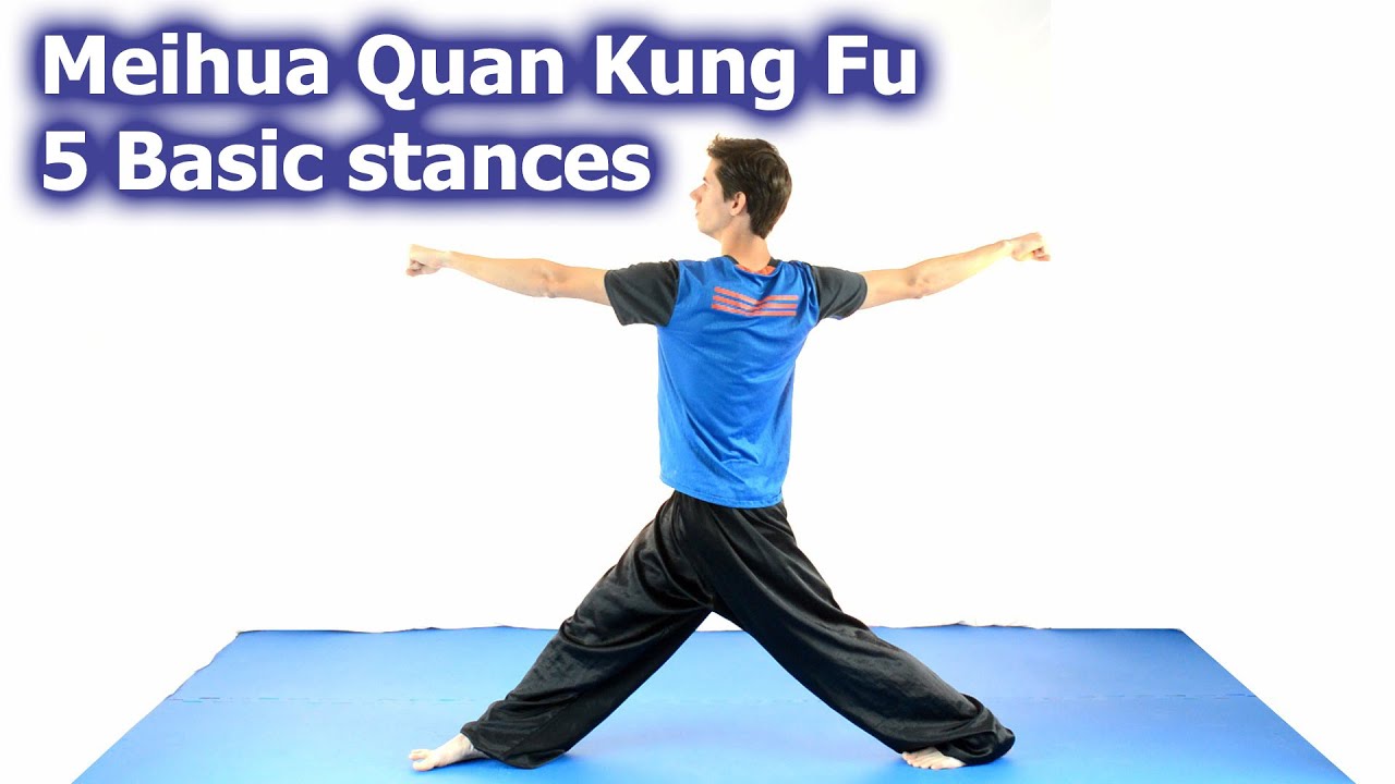 Meihua quan kung fu 5 basic stances - YouTube