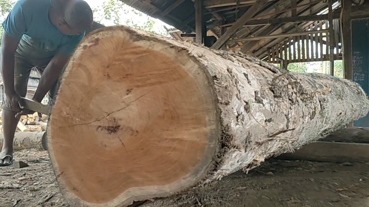 the process of sawing giant teak logs into blocks full of beautiful ...