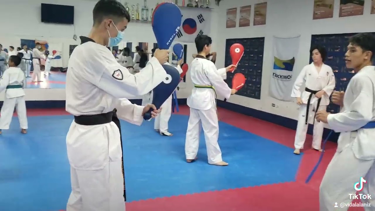 Turning kick TAEKWONDO - YouTube