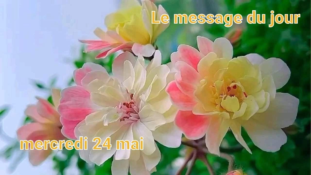 Le message du jour... mercredi 24 mai : choix des 4 éléments. - YouTube
