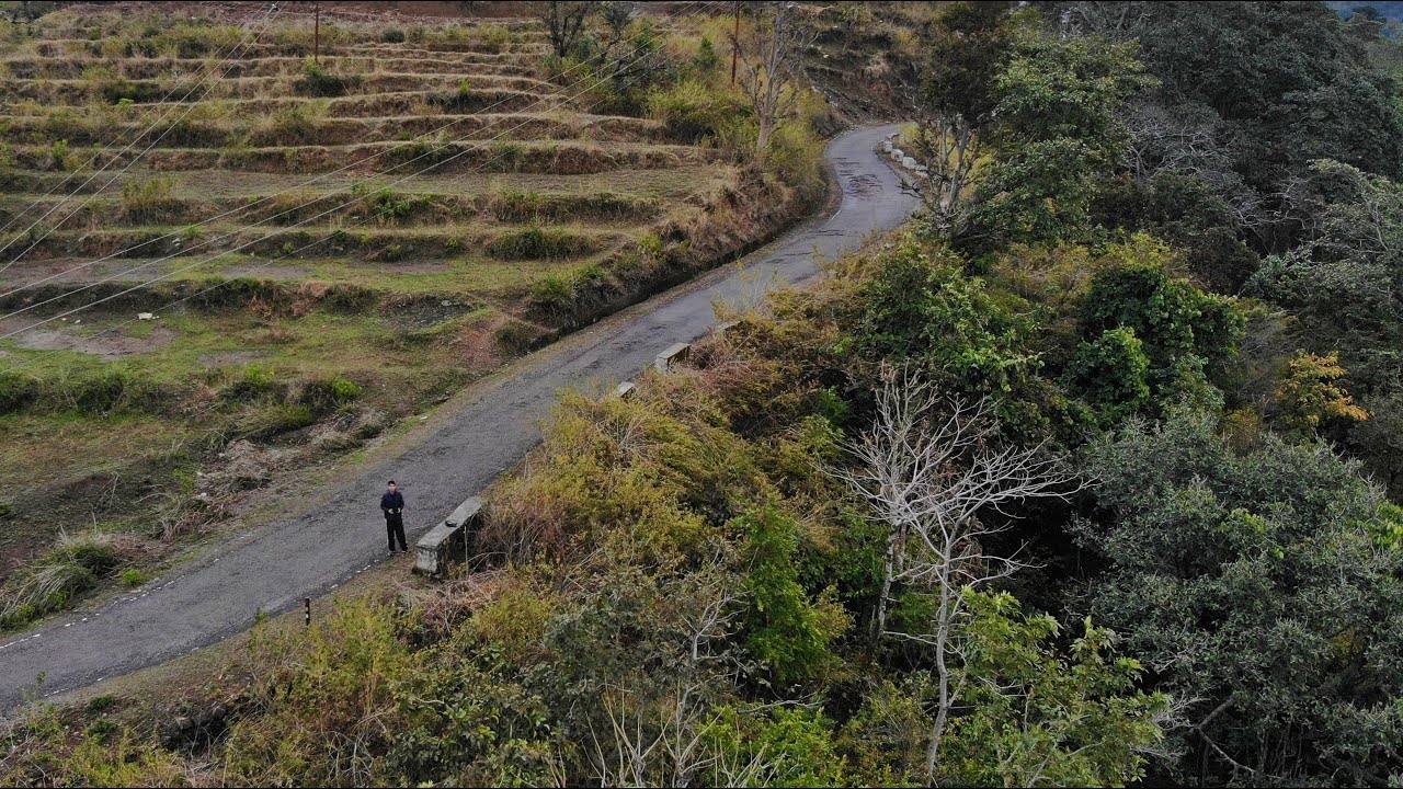 Nature's Wisdom: Life Lessons We Can Learn From the Wild | Nature ...
