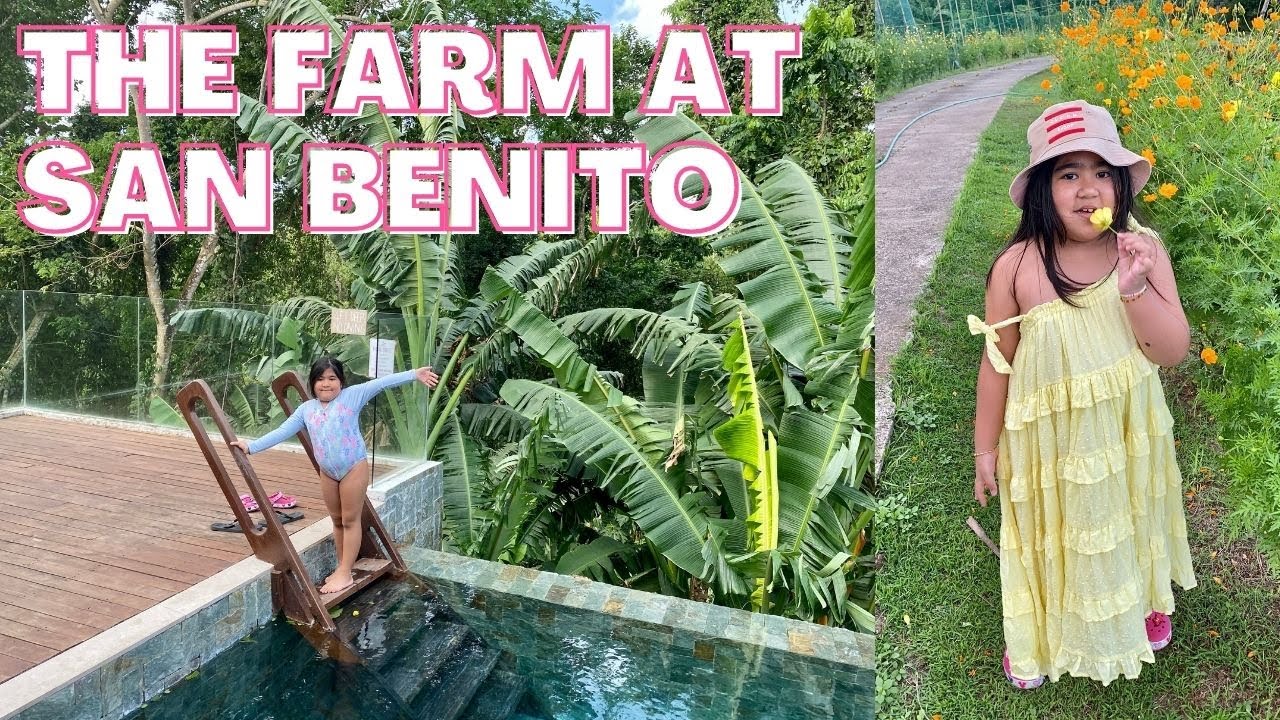 THE FARM AT SAN BENITO VLOG | Narra and Mahogany Villa - YouTube