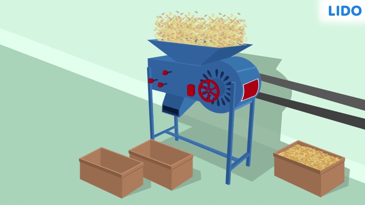 Harvesting and Storage of Grains | Food Production and Management ...