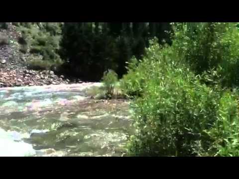 Panning for Gold in Colorado - YouTube