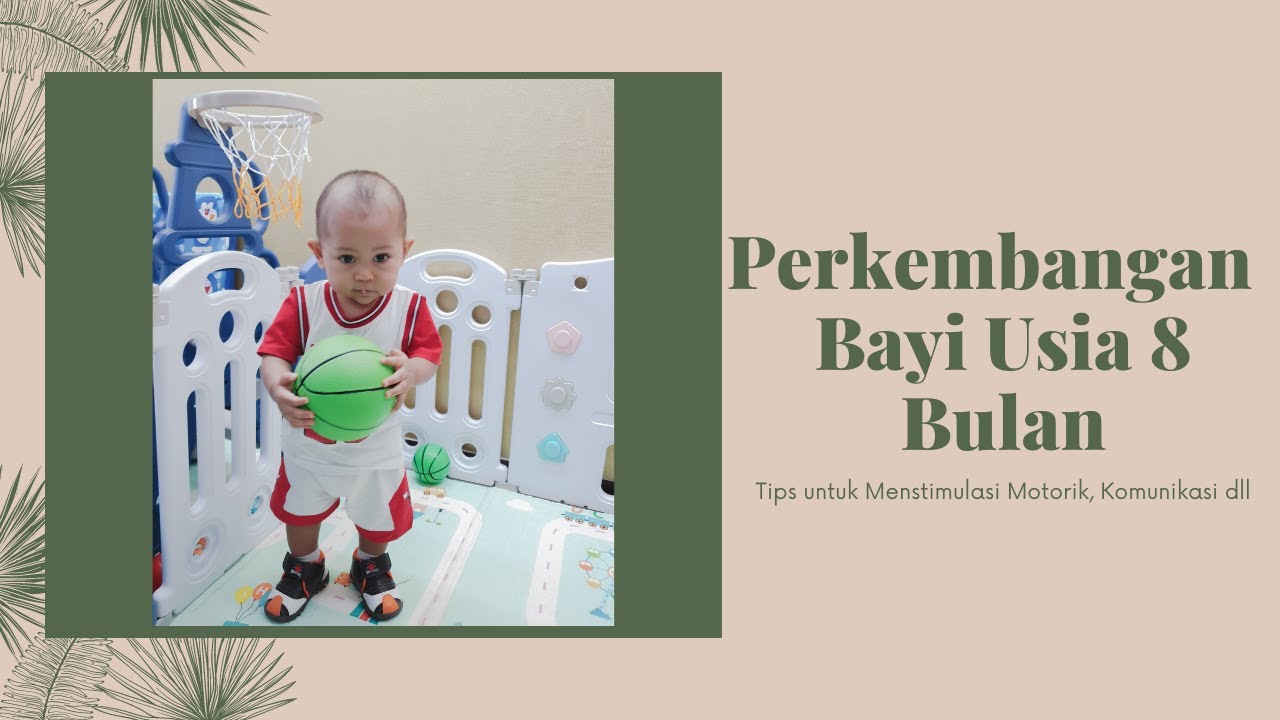 Perkembangan Bayi 8 Bulan dan Cara Stimulasinya - YouTube